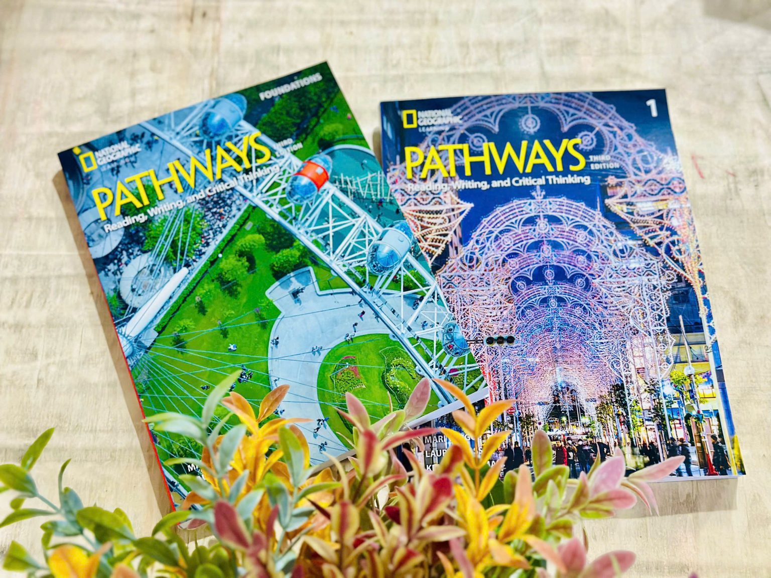 Pathways Reading and Writing and Critical Thinking 3rd Edition - Diep ...